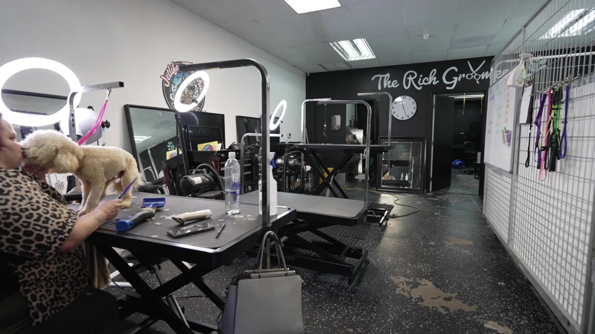 Rich Groomer Blog - The Rich Groomer