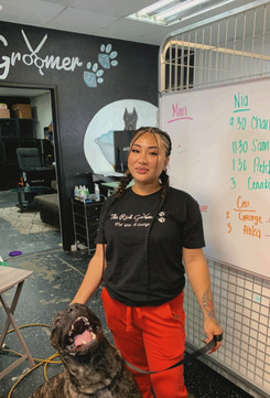 The Rich Groomer Gallery - The Rich Groomer