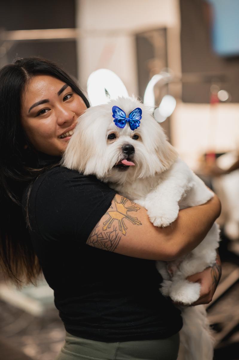 The Rich Groomer Gallery - The Rich Groomer